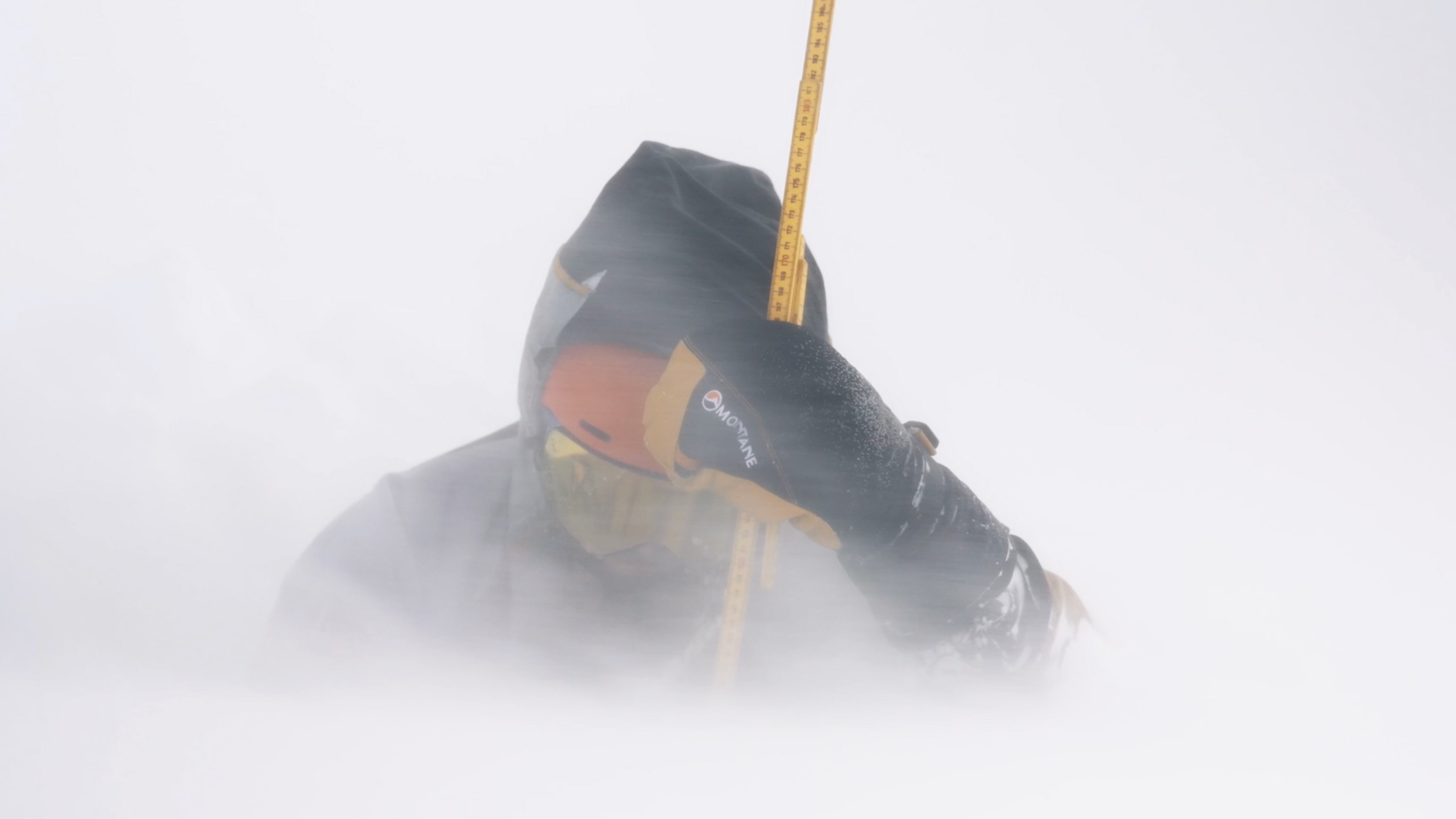 Joro Experiences | Our legacy